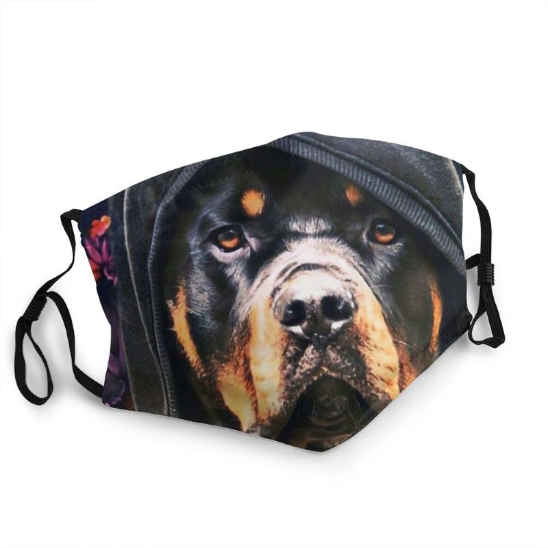 Products – Rottweiler Rescue